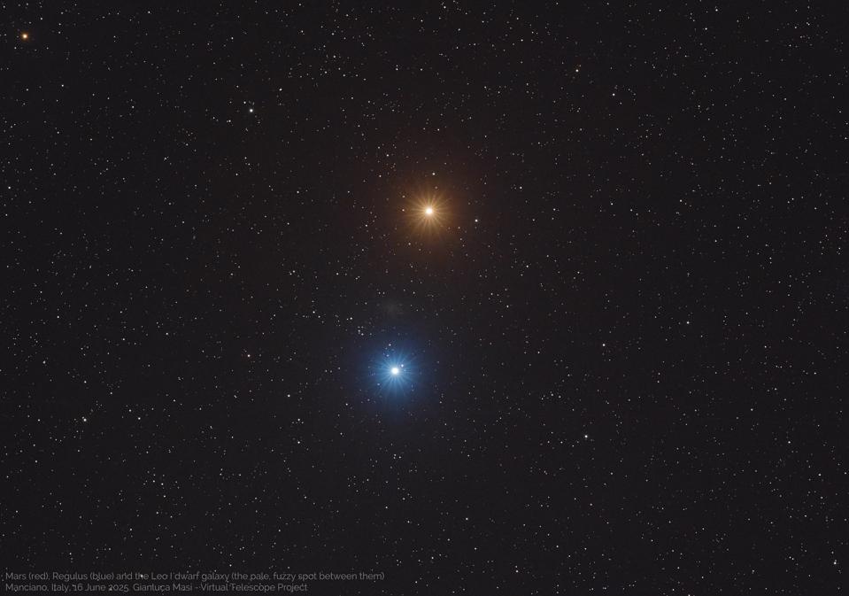 Regulus