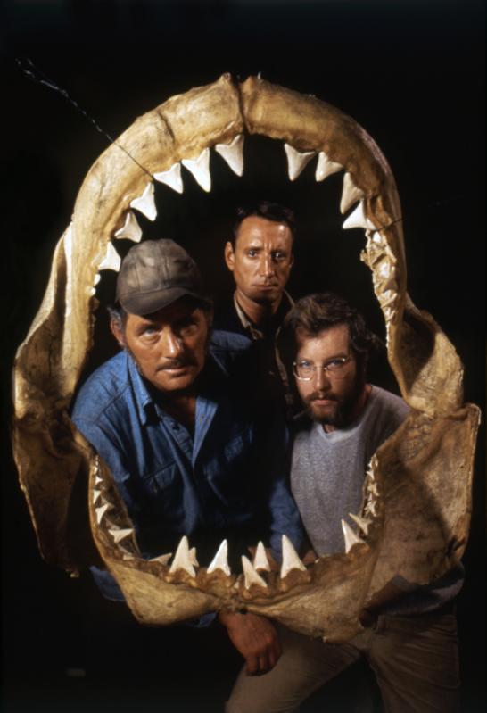 ‘Jaws’ By The Numbers: 50 Years Of Merch, Media And Money