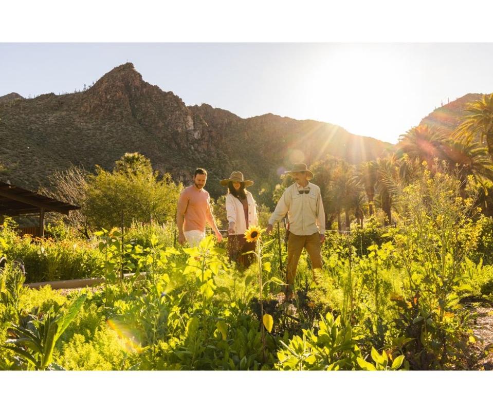 5 Farm-to-Fork Resorts Every Food Traveler Should Know About