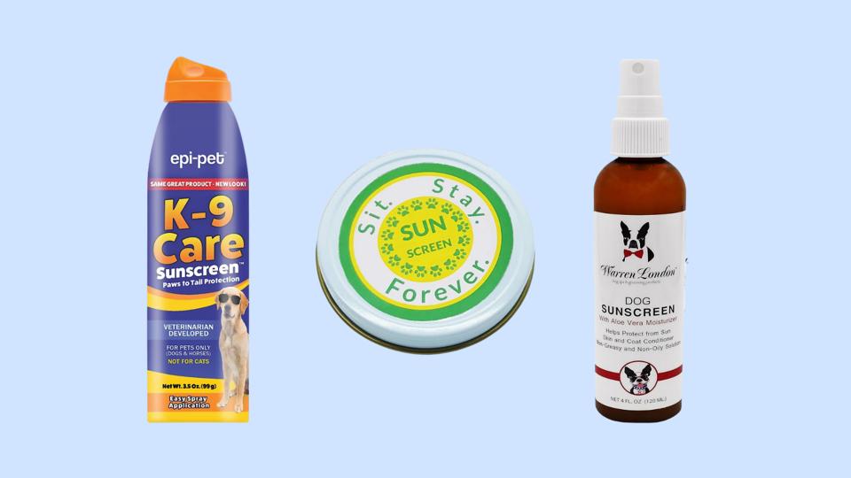 Best Dog Sunscreens 2025 - Forbes Vetted