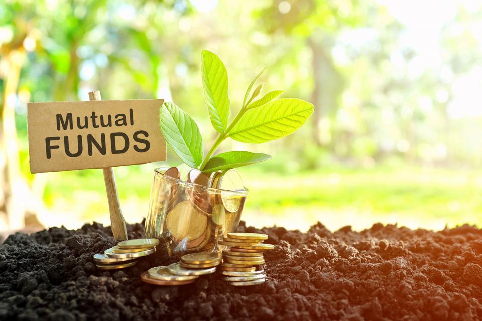 What Is A Mutual Fund? How They Work And How To Invest For Beginners in ...