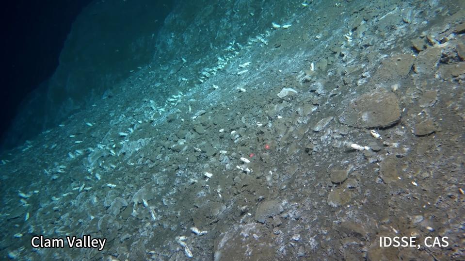 Deep-Sea Discovery Reveals Hidden Methane Cycle
