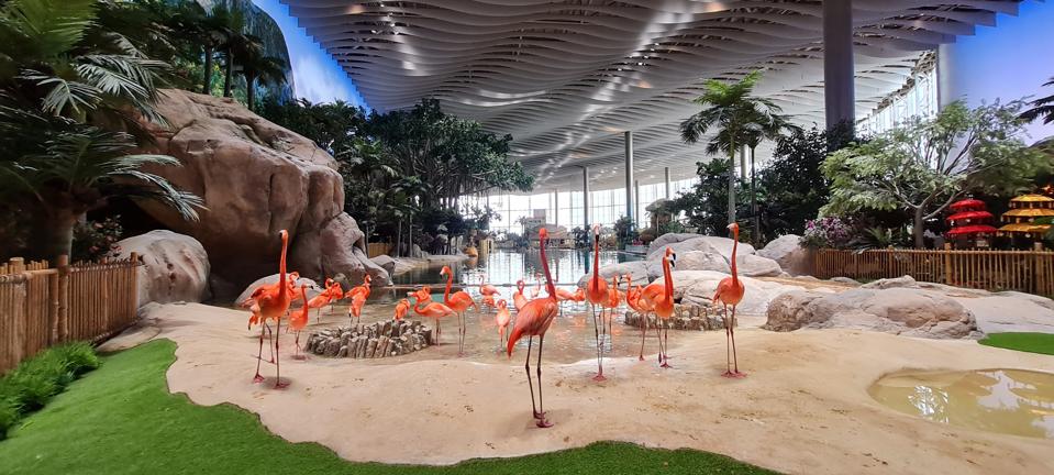 Next SeaWorld Park Could Be Indoors