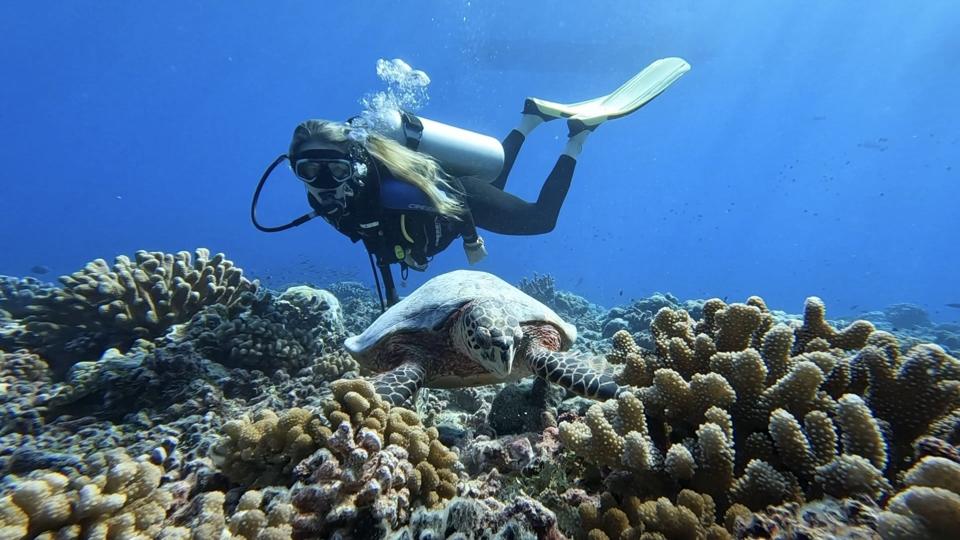 First-Time Scuba Divers Are Flourishing In French Polynesia