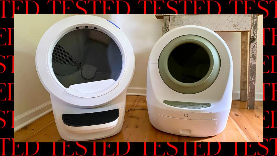 Are Automatic Litter Boxes Worth It? 2025 - Forbes Vetted