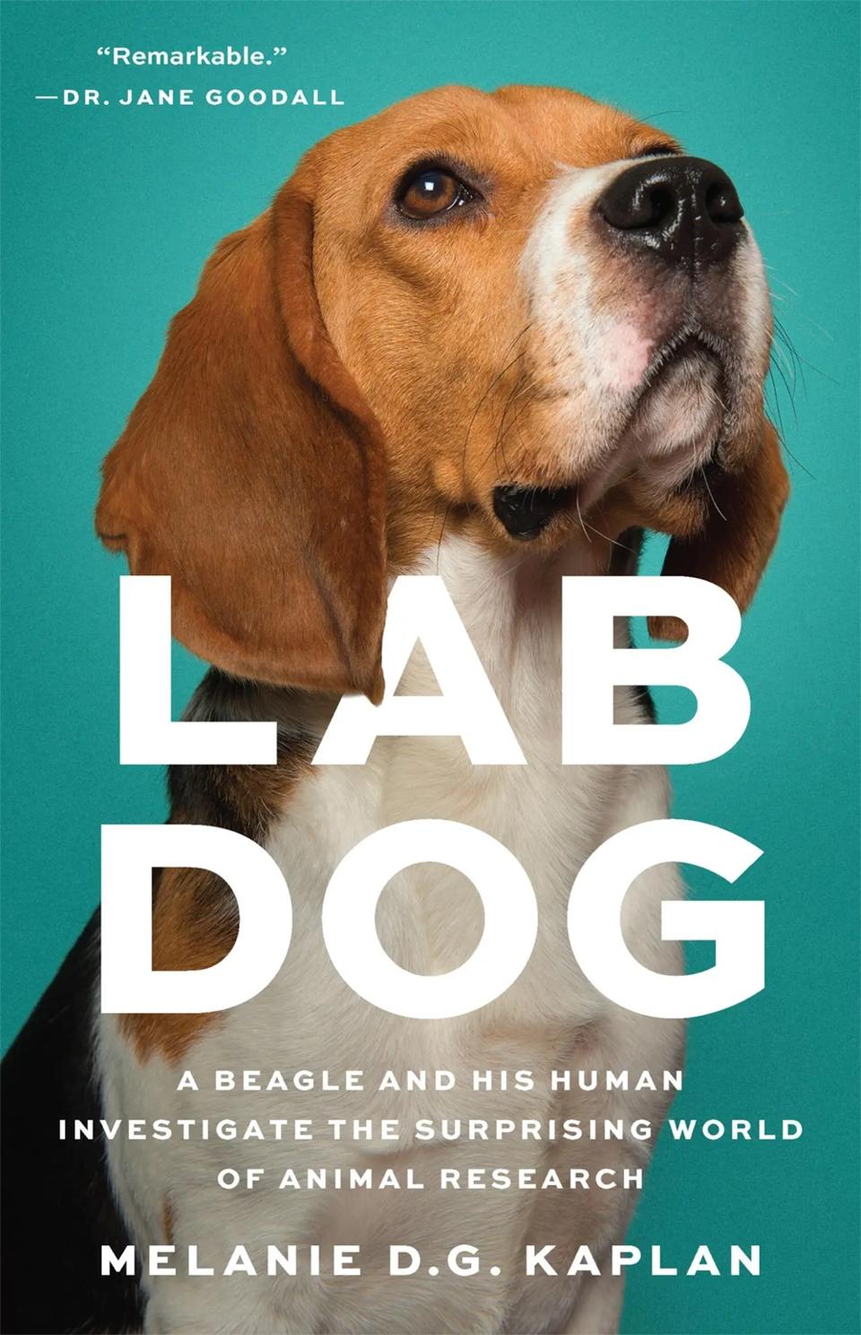 Lab Dog: A Beagle And His Human Investigate The Surprising World Of ...