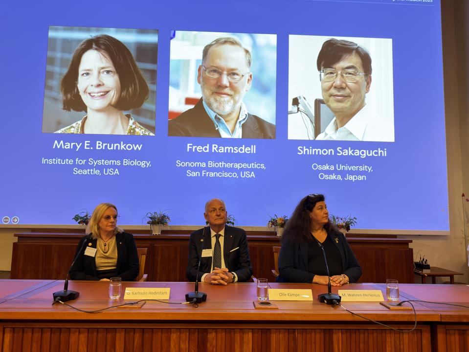 Three Scientists Win Nobel Prize In Medicine For Work On Immune System