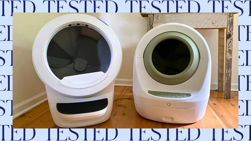 Best Automatic Cat Feeders 2024 - Forbes Vetted