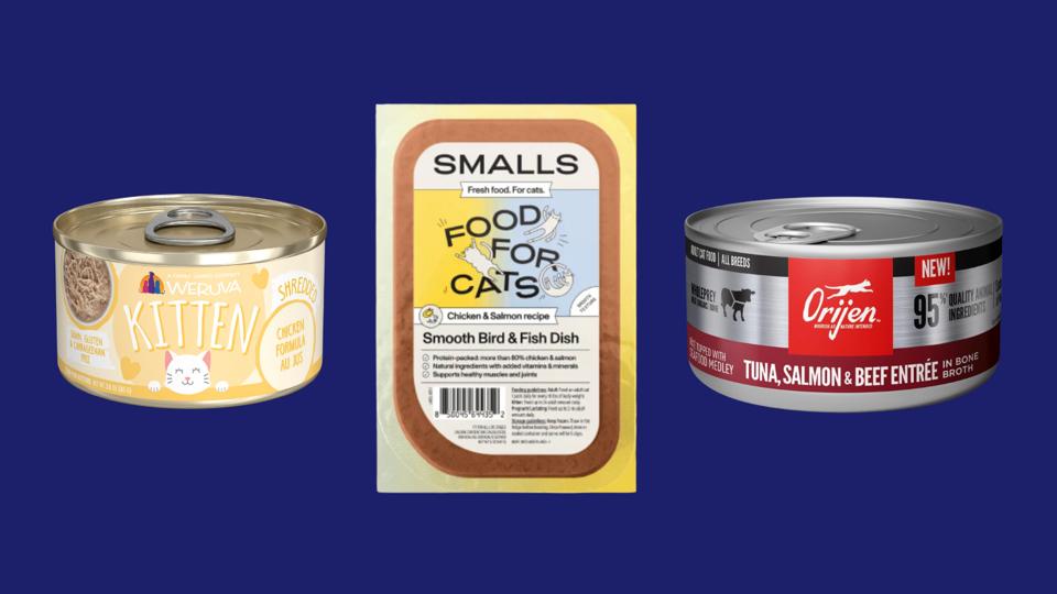 Best Wet Cat Foods 2025 - Forbes Vetted
