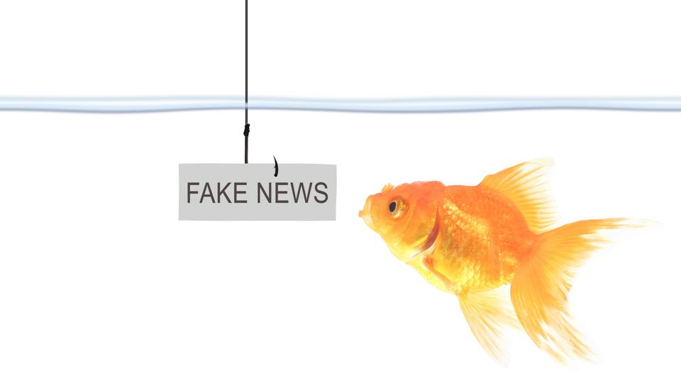 Mozilla Wants To Save The Internet From Fake News