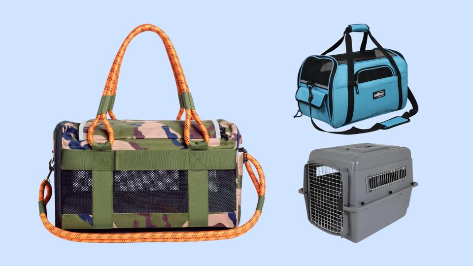 Best Pet Carriers For Flying 2026 - Forbes Vetted
