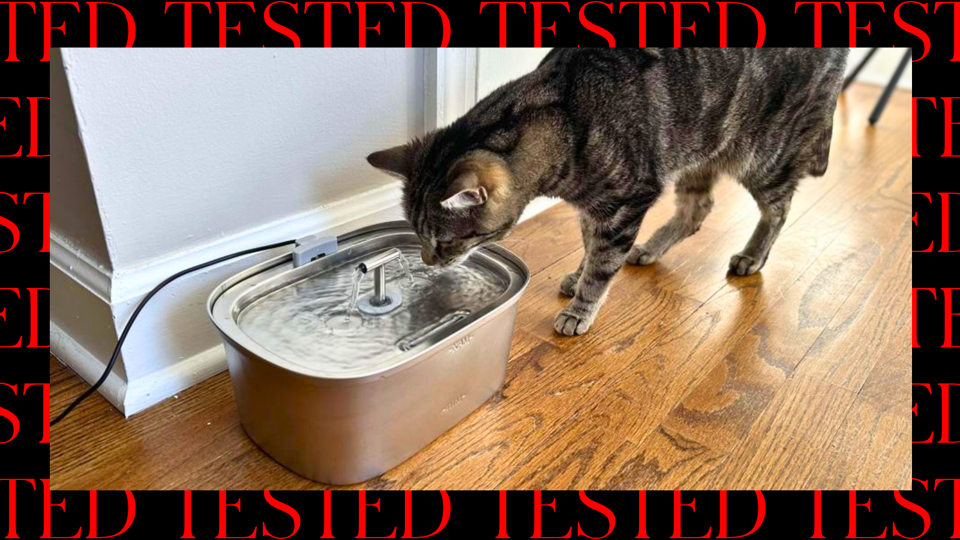 Best Cat Water Fountains 2026 - Forbes Vetted