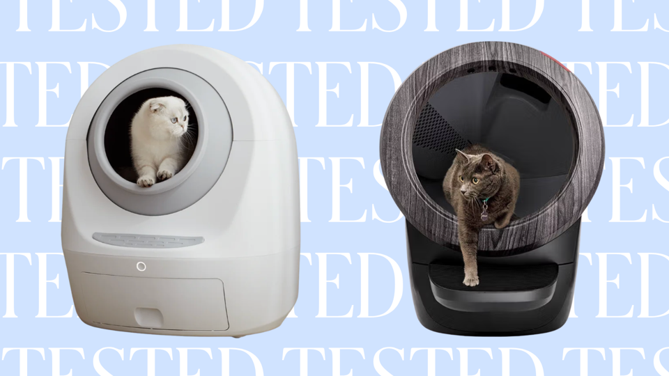 Best Automatic Litter Boxes 2026 - Forbes Vetted