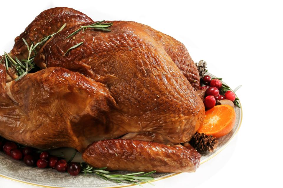 How Smart Was That Turkey And Ham Before It Became Dinner?