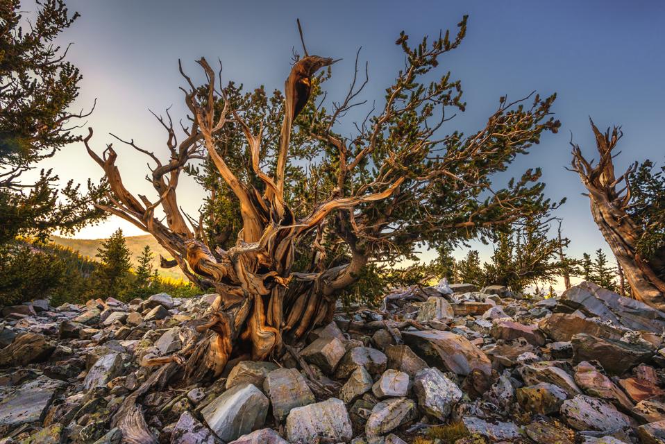 This Quiet Nevada Community Is An Underrated Gem For Nature Lovers